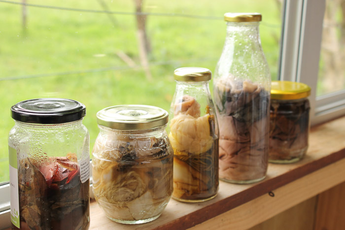 Summer time – solar dyeing time part I – Birgit Moffatt